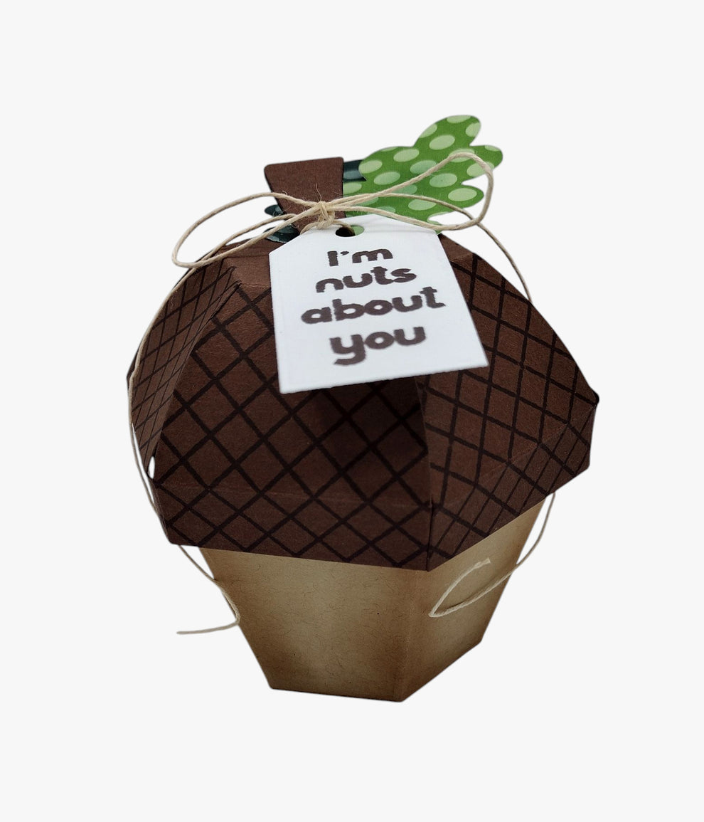 DP Acorn Box Stamp and Die Kit – Diamond Press Store